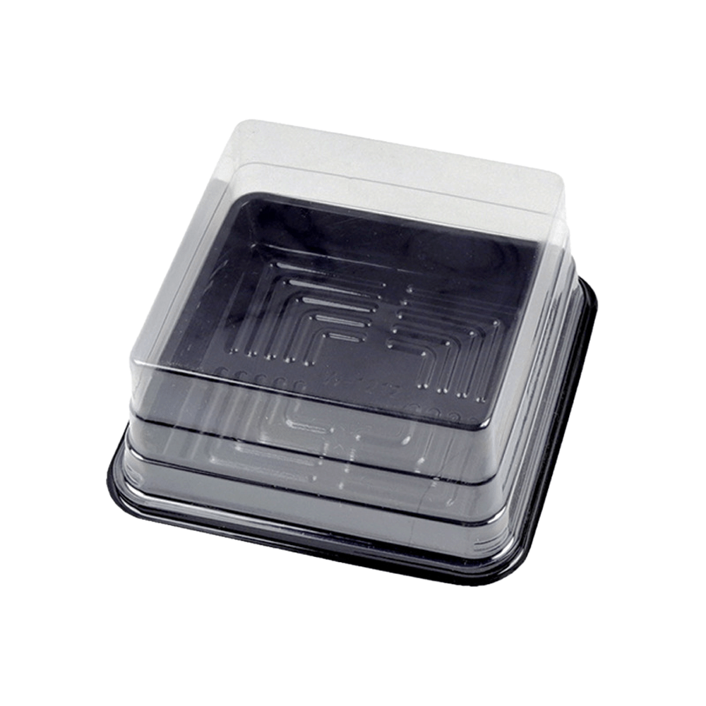 120x120mm Individual Black Square Container With Lid - TEM IMPORTS™