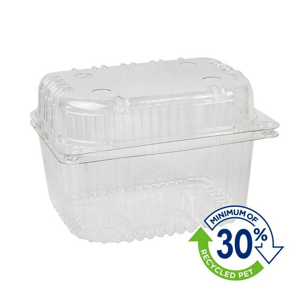 1KG Clear PET Produce Clamshell Container - 420/CTN