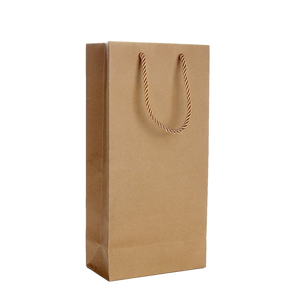 Double Wine Paper Bag With Silk Handle - TEM IMPORTS™